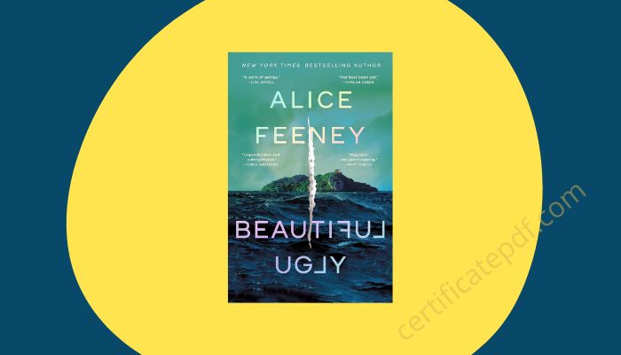 Beautiful Ugly Alice Feeney PDF/EPUB
