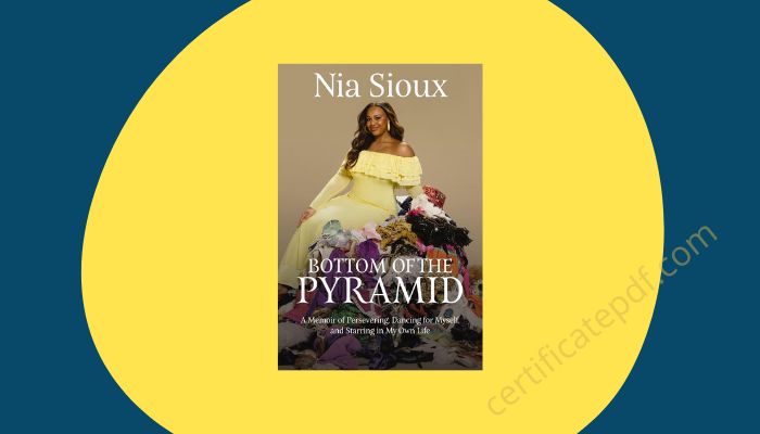 Bottom Of The Pyramid Nia Sioux PDF