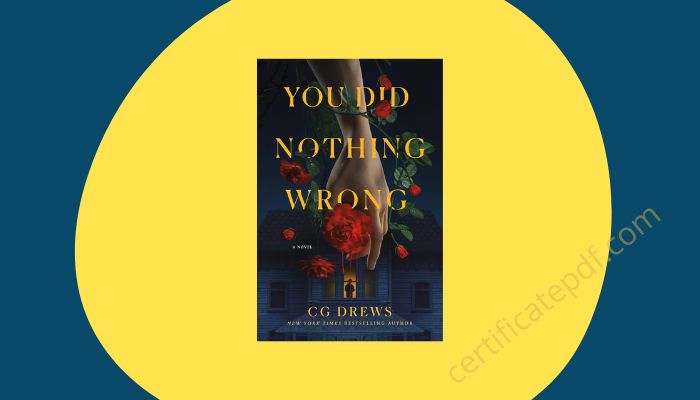 You Did Nothing Wrong CG Drews PDF/EPUB